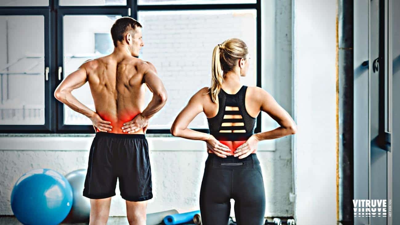 Lumbar Spine Stability Exercises For Athletes | Vitruve