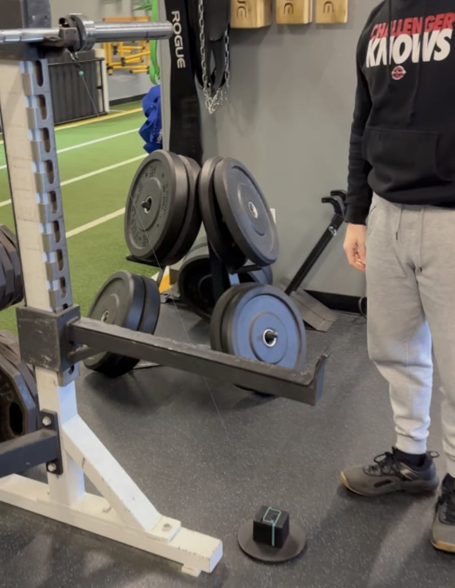 A Beginner’s Guide to Using YOUR Vitruve System! - Vitruve