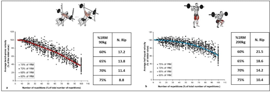 Exploring velocity loss: a comprehensive guide for coaches and athletes ...
