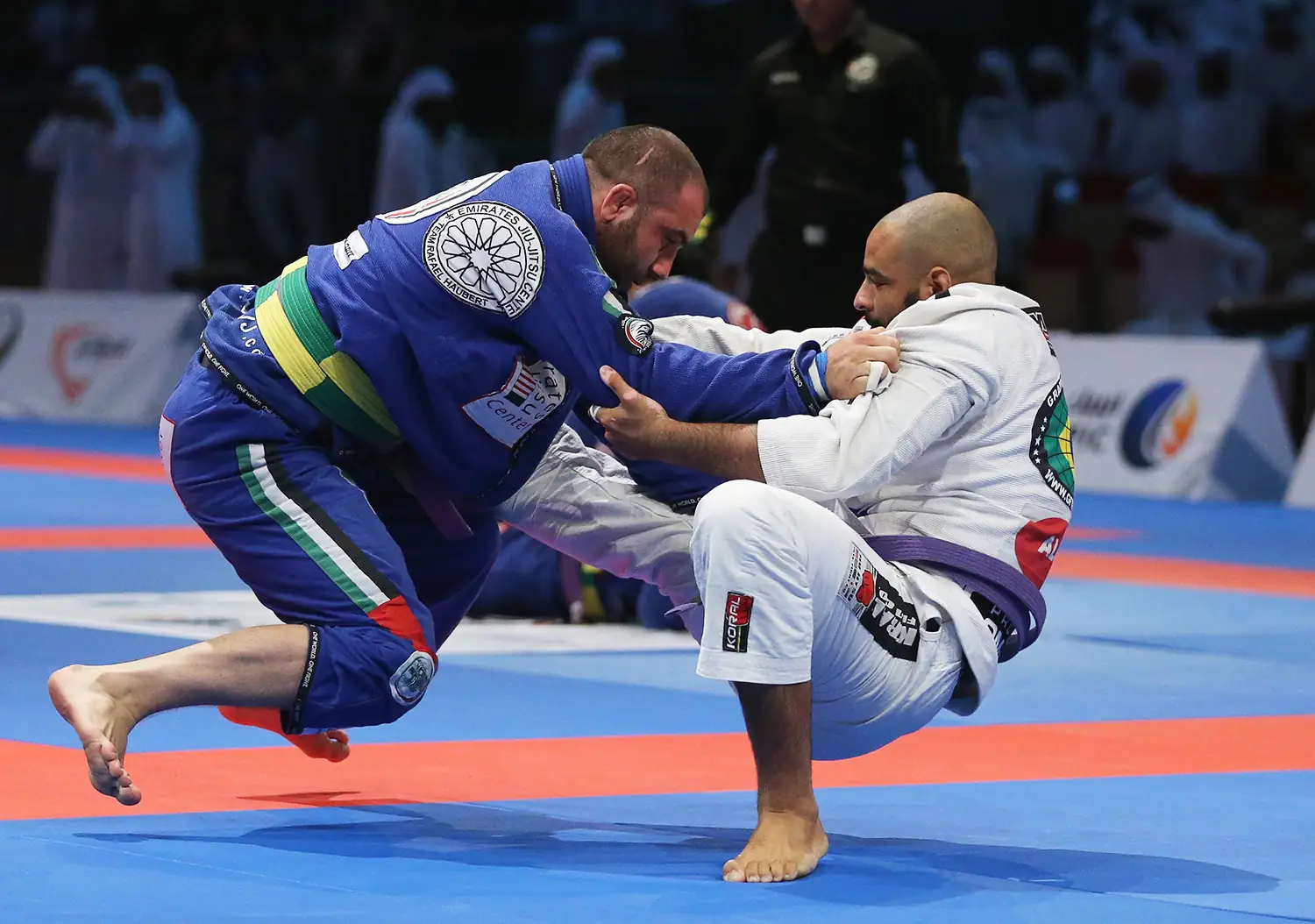 BJJ Strength and Conditioning Program - Vitruve