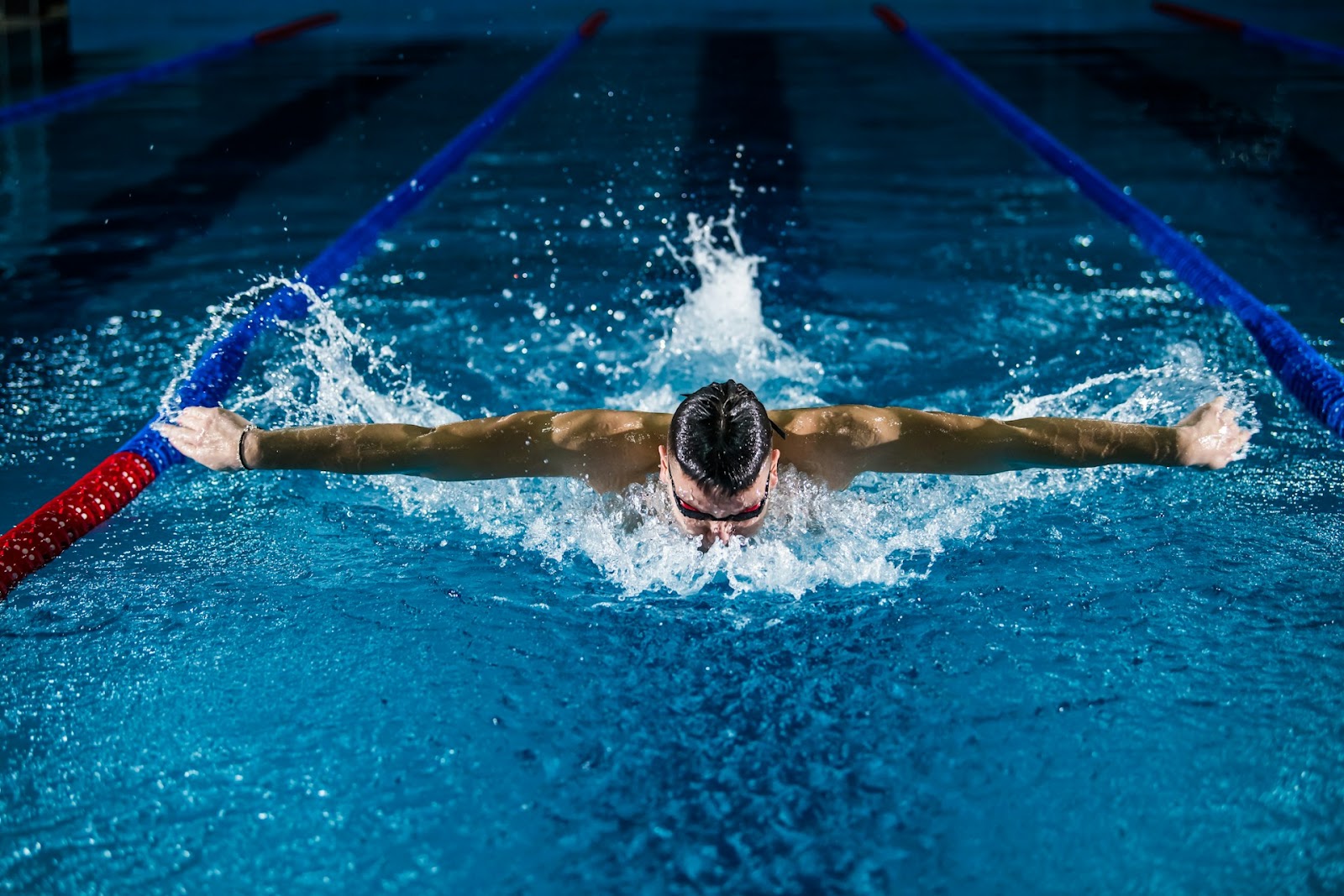 Strength and Conditioning Training for Swimmers - Vitruve